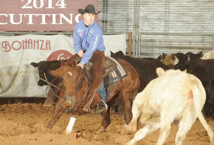 News – Wes Galyean Cutting Horses