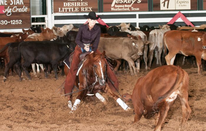News – Wes Galyean Cutting Horses