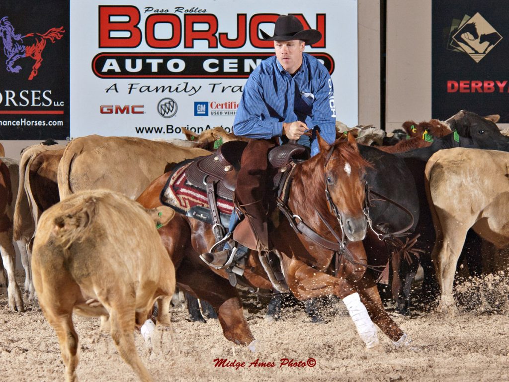 Wes Galyean Cutting Horses | Show Record