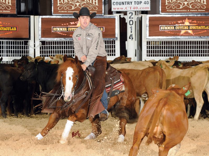 Wes Galyean Cutting Horses | Show Record