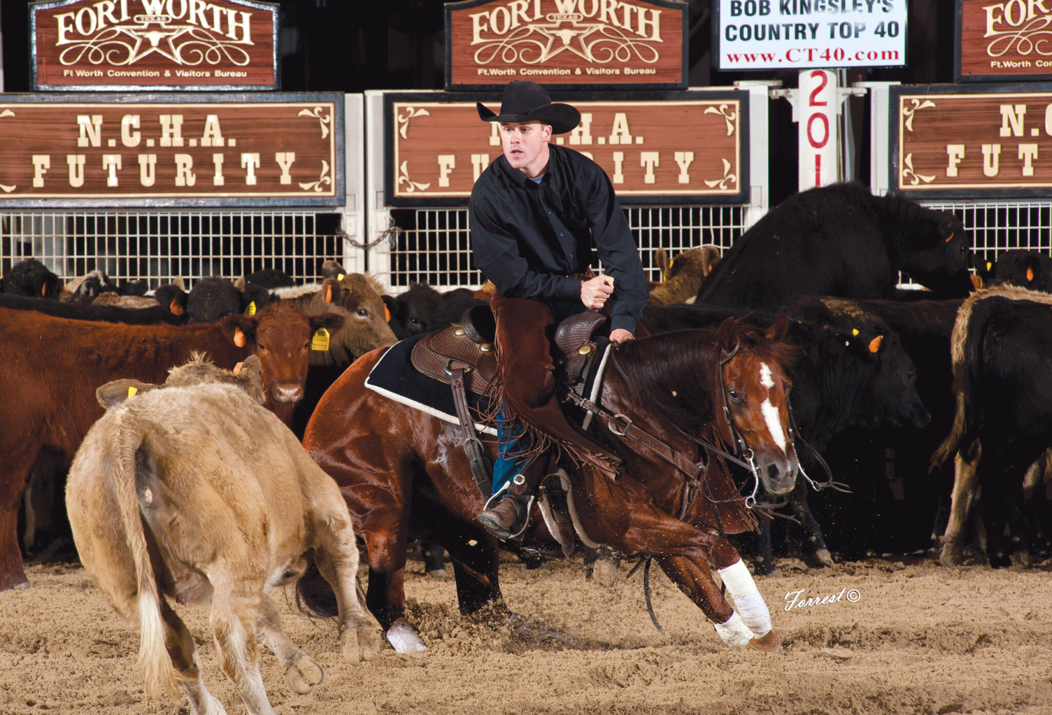 Show Record – Wes Galyean Cutting Horses