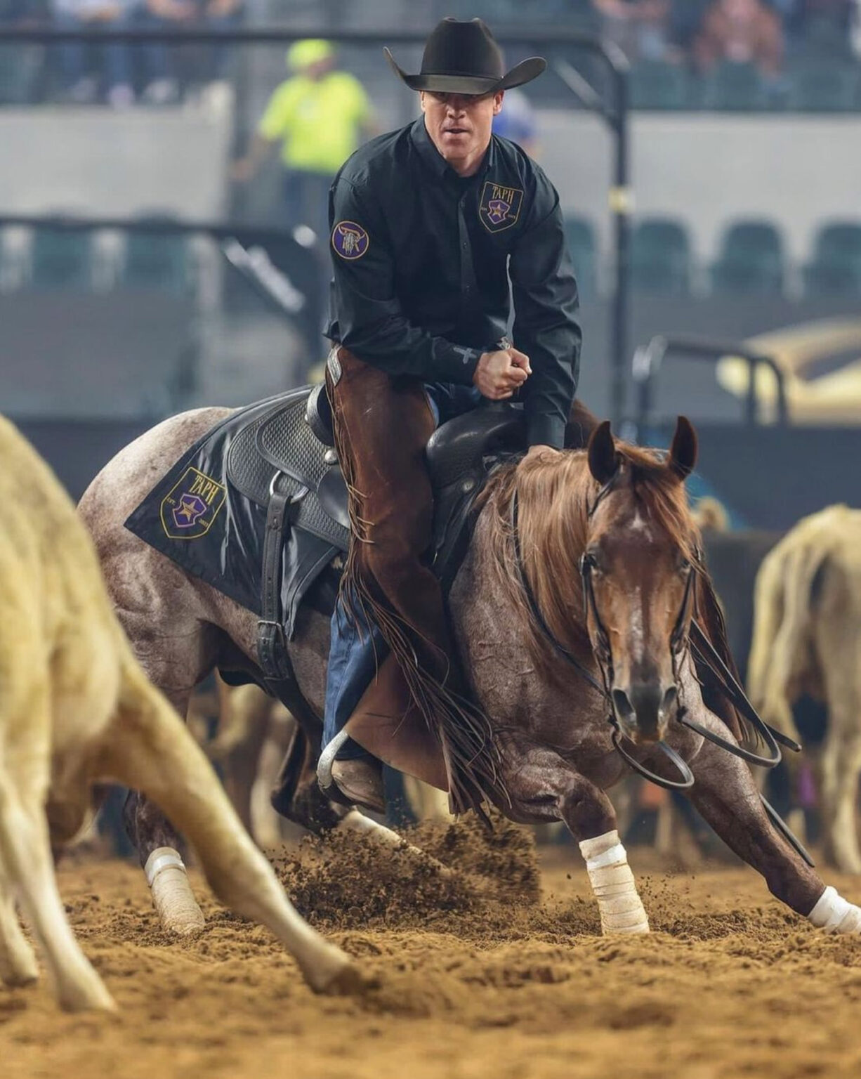 Wes Galyean Cutting Horses – Professional Cutting Horse Trainer